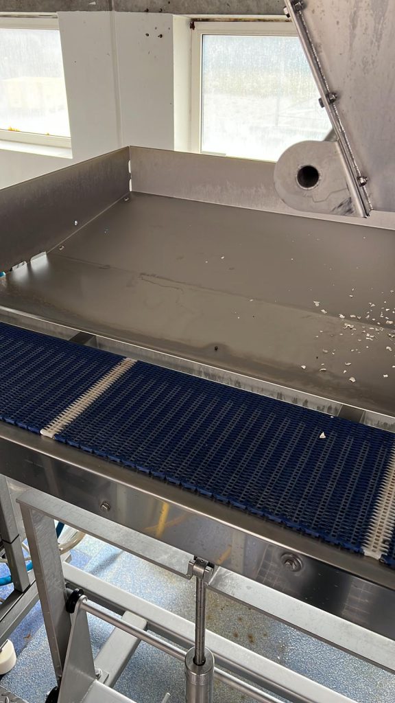 2017 Baader 176 Flatfish filleting line - Food Machinery Holland