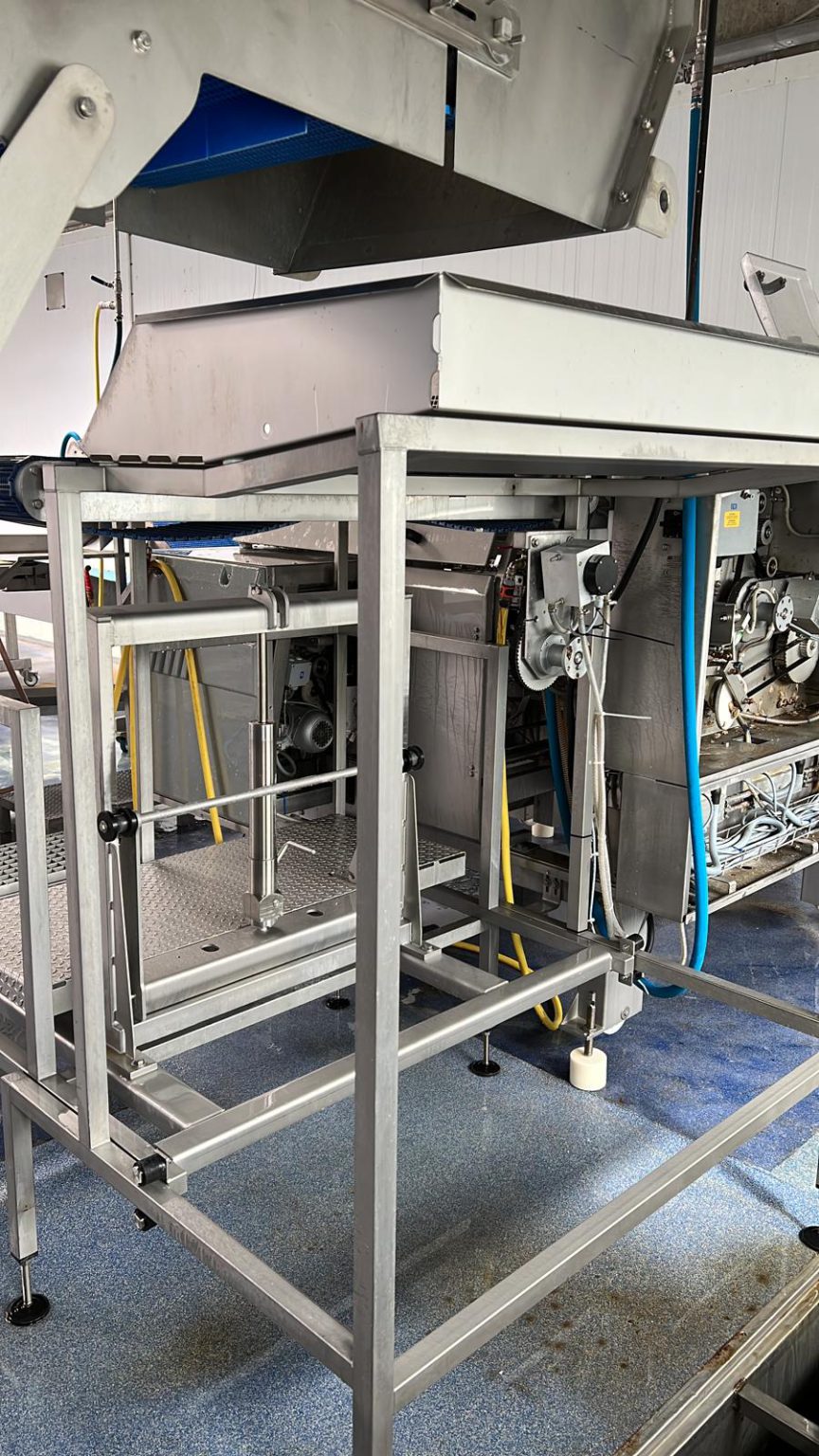 2017 Baader 176 Flatfish filleting line - Food Machinery Holland