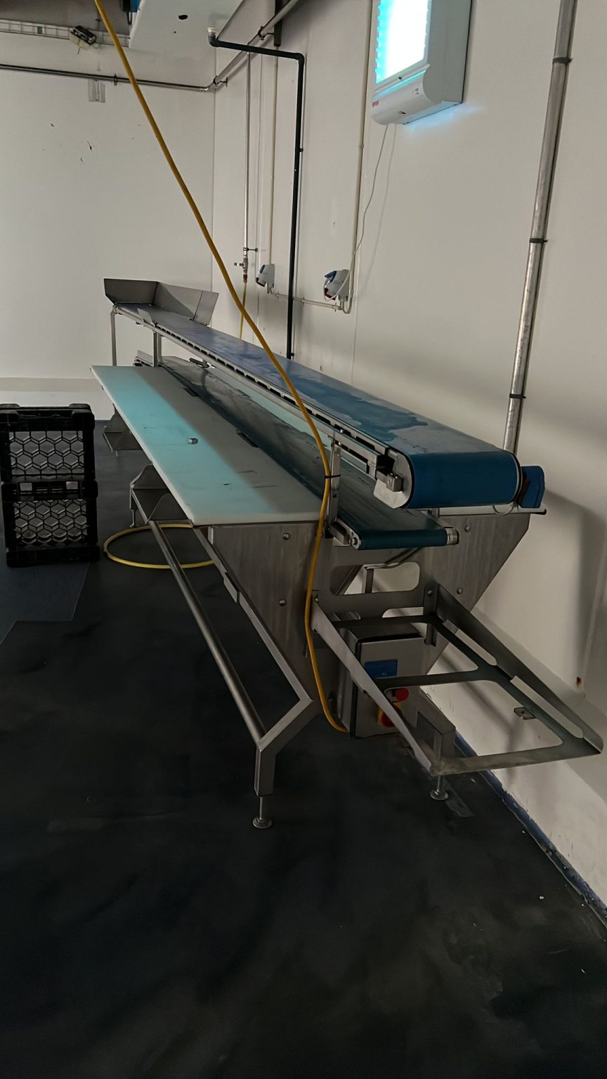 2017 Baader 176 Flatfish filleting line - Food Machinery Holland