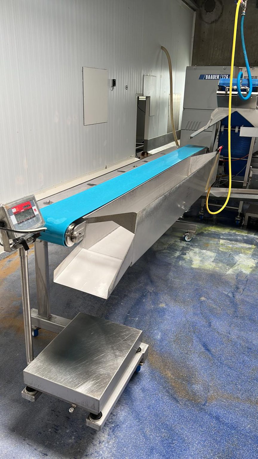 2017 Baader 176 Flatfish filleting line - Food Machinery Holland