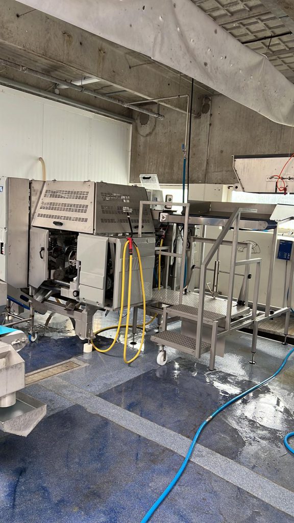 2017 Baader 176 Flatfish filleting line - Food Machinery Holland