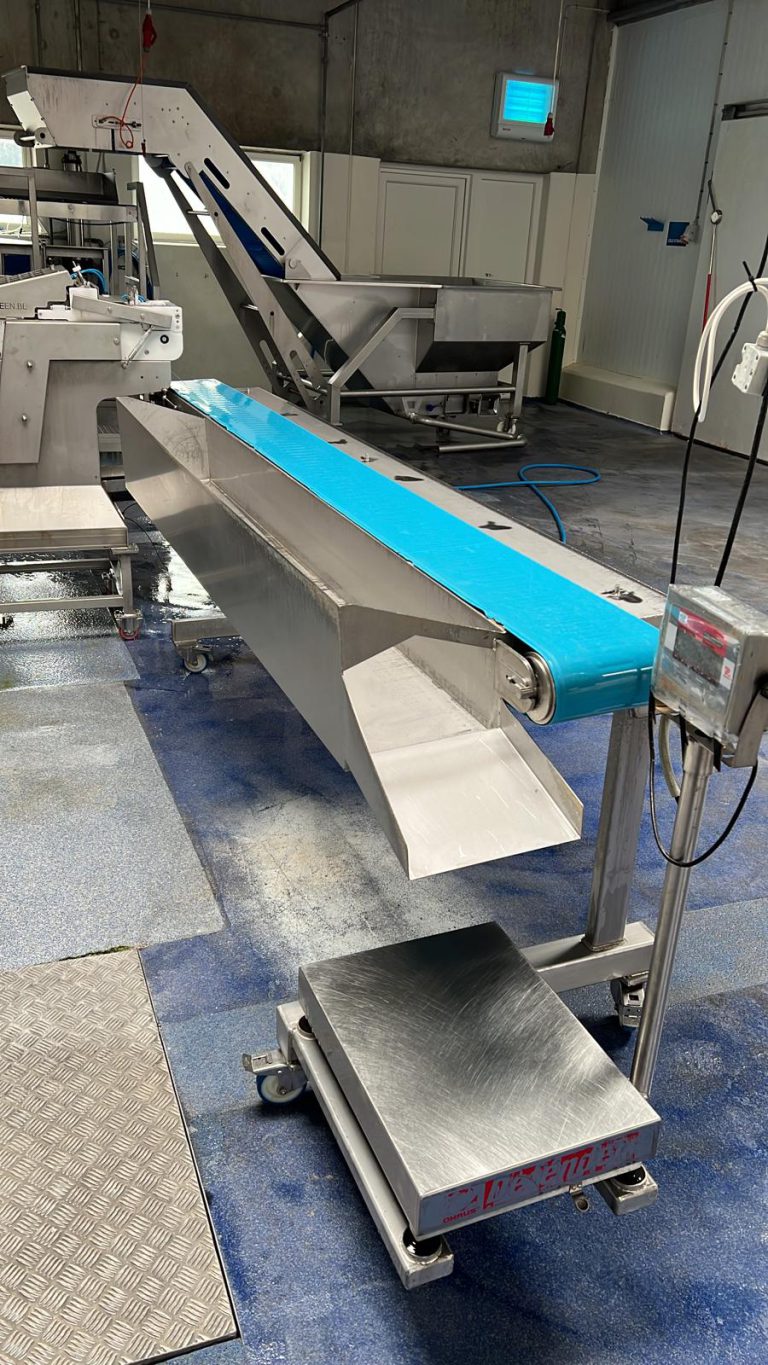 2017 Baader 176 Flatfish filleting line - Food Machinery Holland